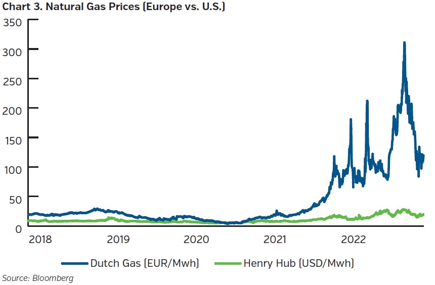 The European Gas Crisis: From Russia with (No) Love