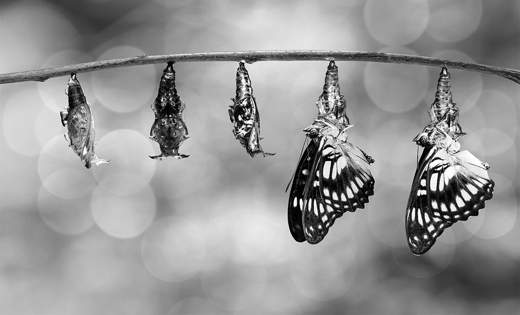 Libor Transition Update