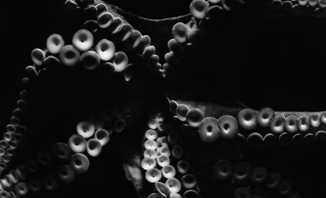 Globalization and Inflation: How Many Tentacles Does an Octopus Have?